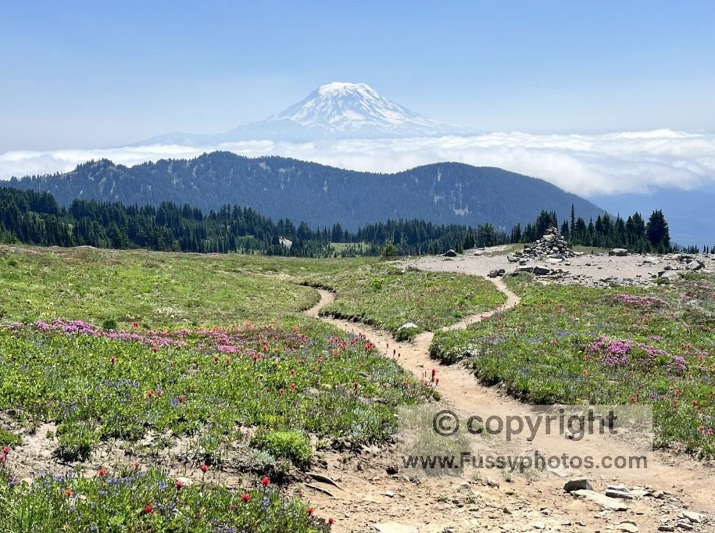 Goat Rocks Wilderness Hike – Knife’s Edge & Goat Lake