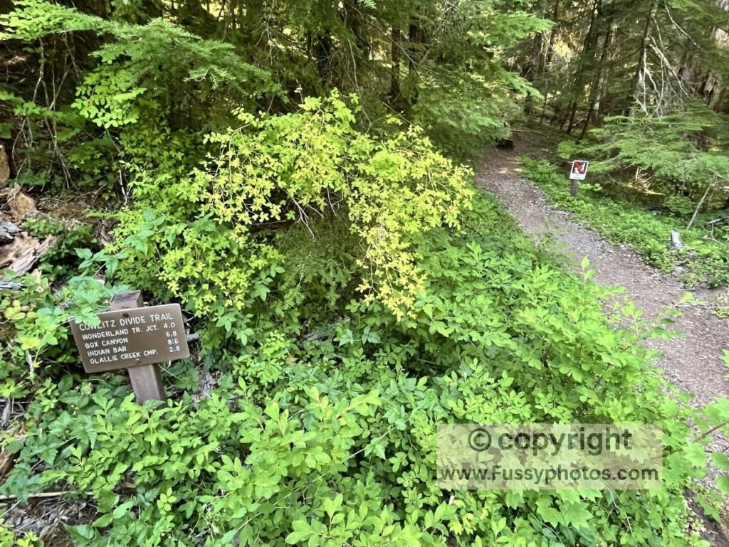 How to Backpack East Wonderland Trail Without Competitive Permits ...